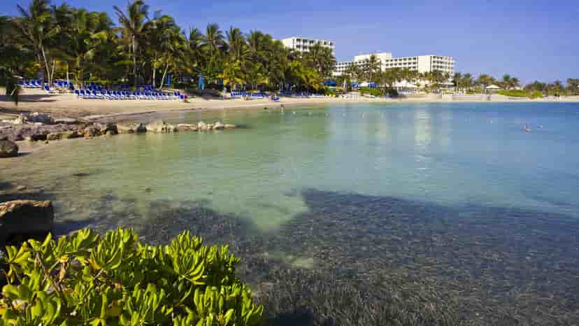 Carnival Cruise Line Cruises from Tampa, Florida 2026 – Itineraries ...