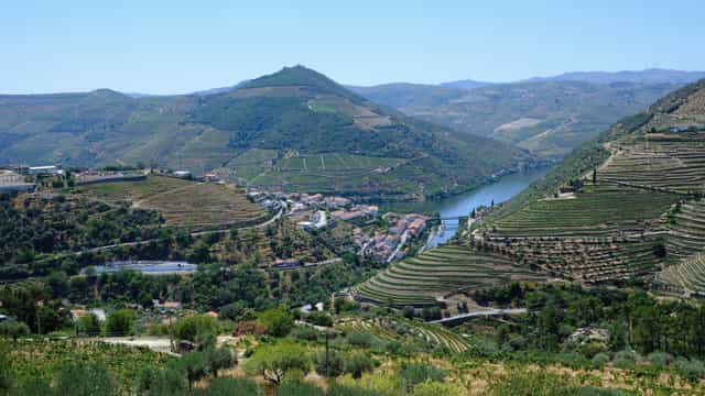 AmaWaterways Cruises to Douro River: 2026 Sailings & Deals | The Cruise Web