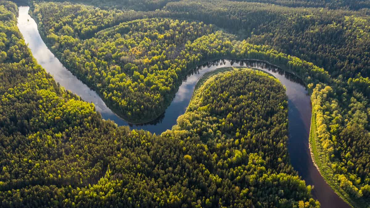 Amazon River Cruises 2026-2027: Browse Sailings & Deals | The Cruise Web