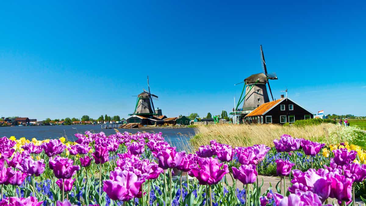 AmaWaterways Cruises from Amsterdam, The Netherlands 2026 – Itineraries ...