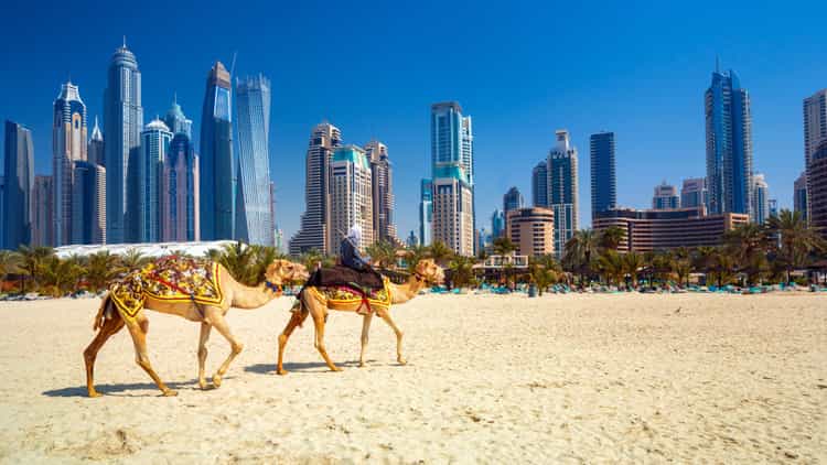 Celebrity Cruises Cruises to Middle East: 2026 Sailings & Deals | The ...