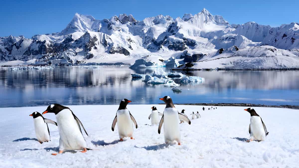 Viking Expedition Cruises Cruises to Expeditions: 2026 Sailings & Deals ...
