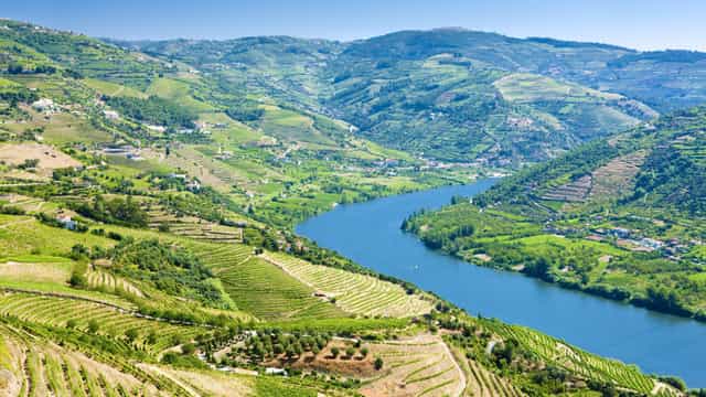 Viking River Cruises Cruises to Douro River: 2026 Sailings & Deals ...